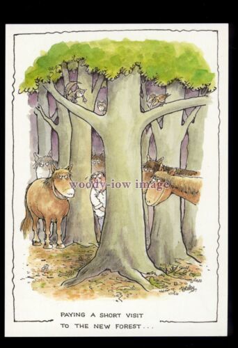BES020 - Paying a Toilet Visit in the New Forest - comic postcard by ...