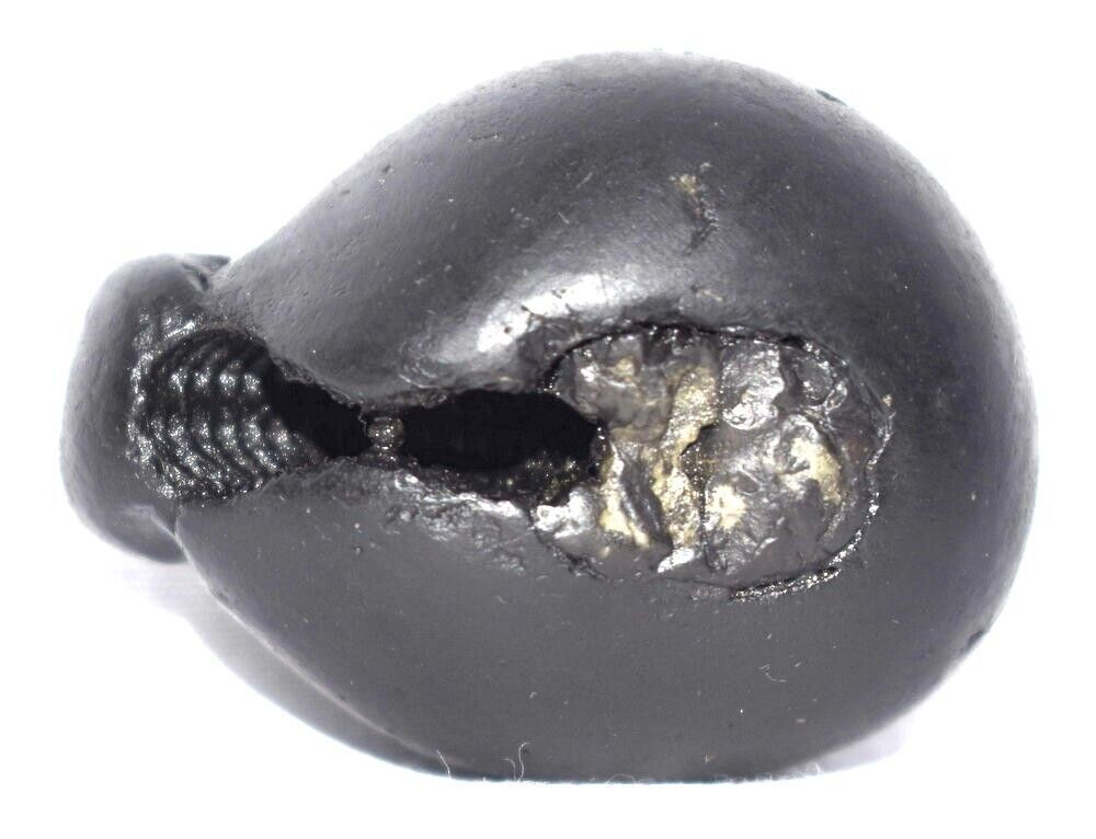 Rare Varaha Shaligram / Shyamala Varaha Salagram - Gandaki River Nepal ...