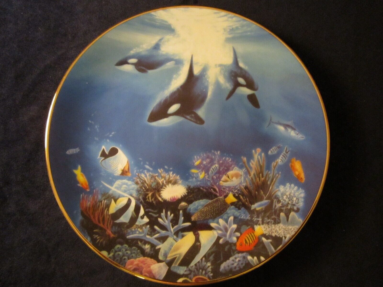 Orca Odyssey COLLECTOR PLATE Charles Lynn Bragg UNDER THE SEA Fish ...