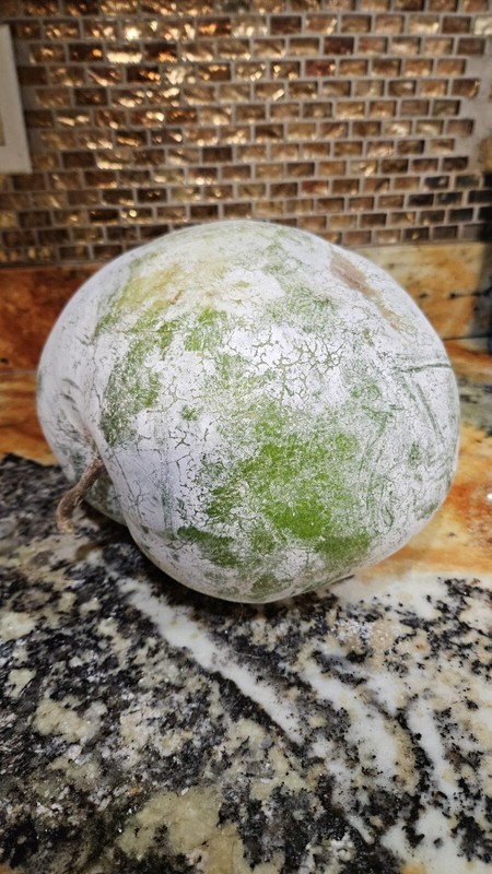 LKS 20 Seeds White Ash Gourd Winter Melon Dong Gua Alu Puhul Home ...