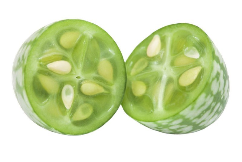 PSA Cucamelon 20 Seeds Mouse Melon Melothria Scabra Mini Cucumber ...