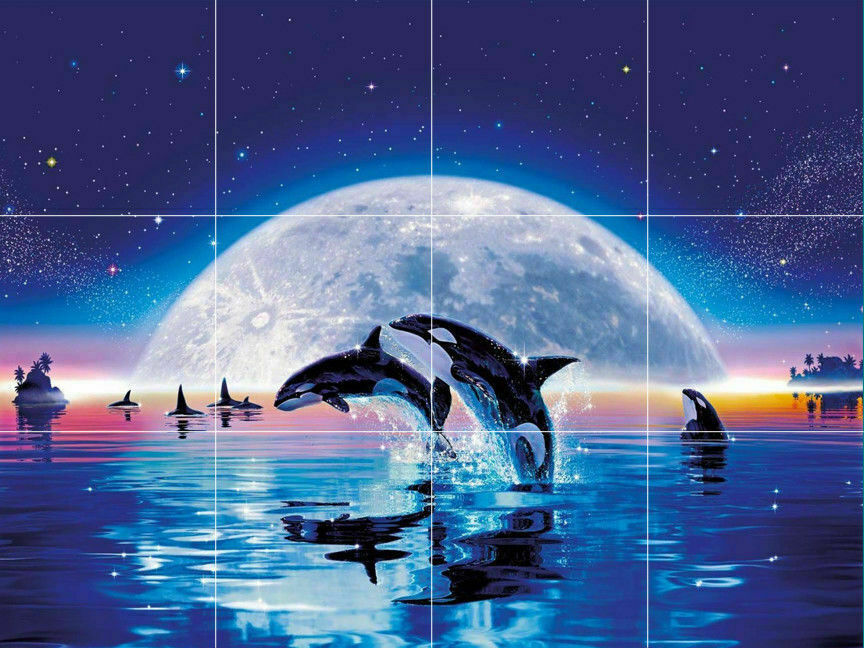 orca whale beach night moonlight tropical fish ceramic tile mural ...
