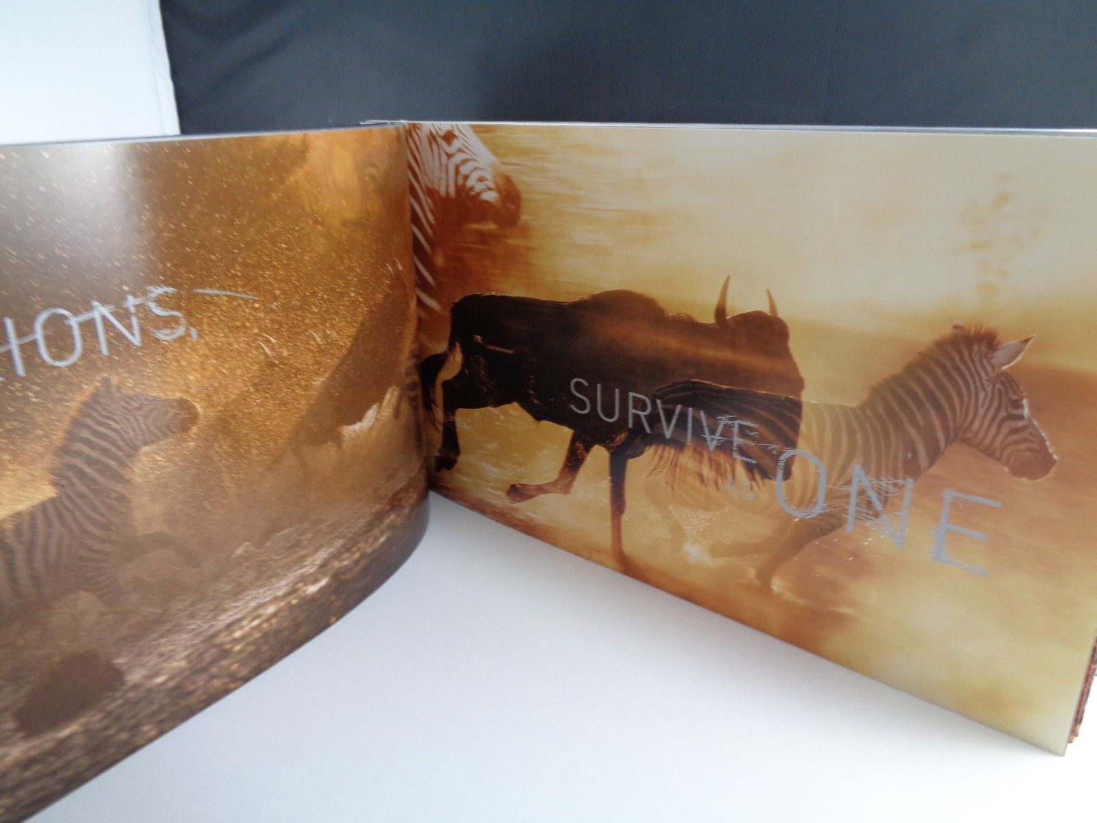 National Geographic Great Migrations Special Limited Collectors Book ...