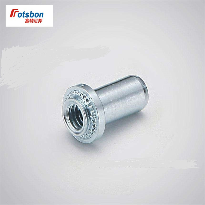 1000Pcs BS-M5-2 Blind Nuts Clinch Nut Use in PCB Sheet Metal Rivnuts ...