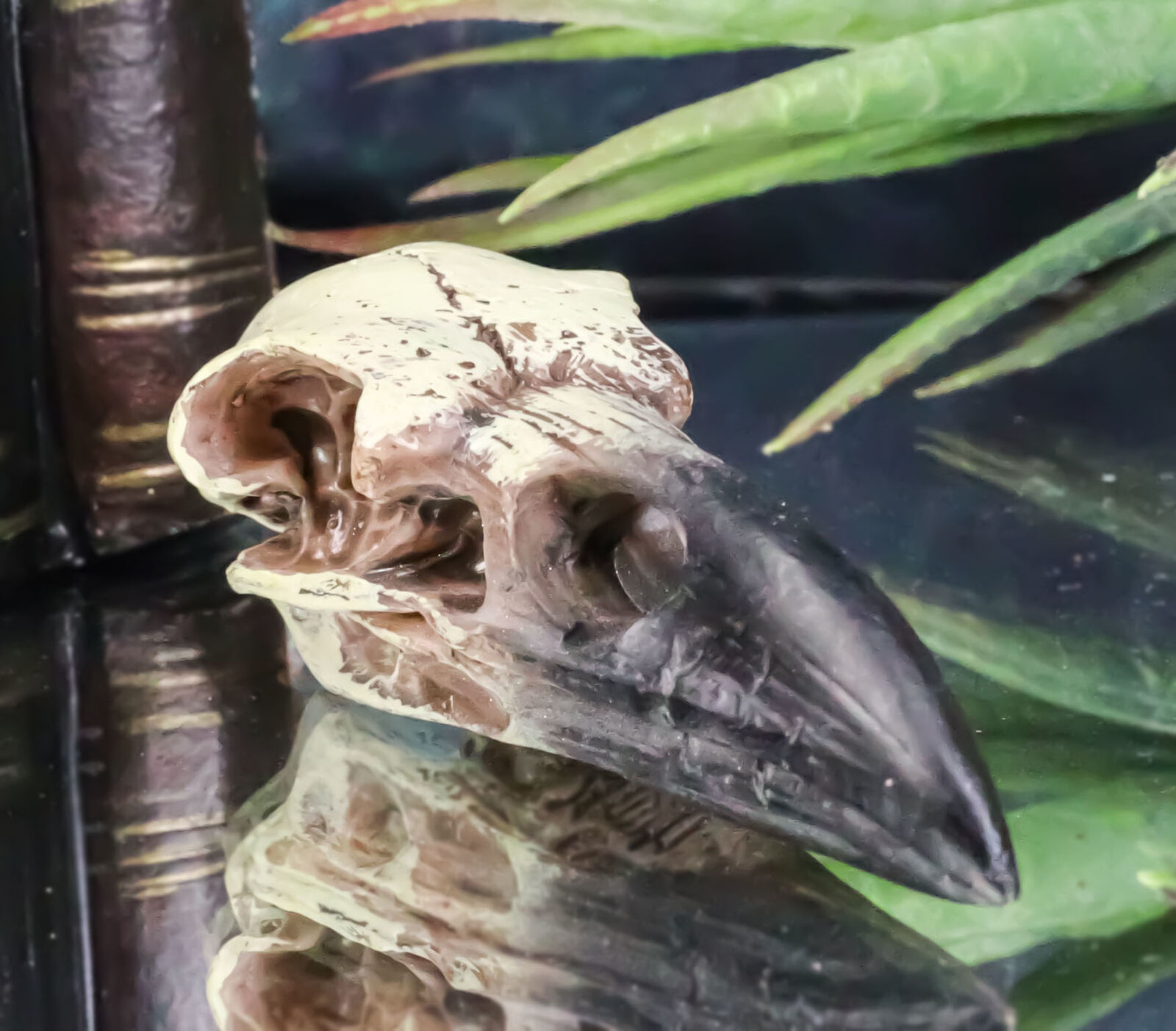 Pack Of 3 Gothic Reliquary Raven Crow Skull Small Pendant Talisman ...