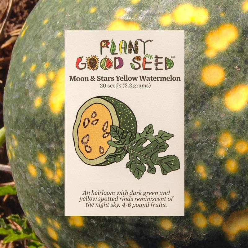 SRN Moon And Stars Yellow Watermelon Seeds Non-Gmo Organic Heirloom ...