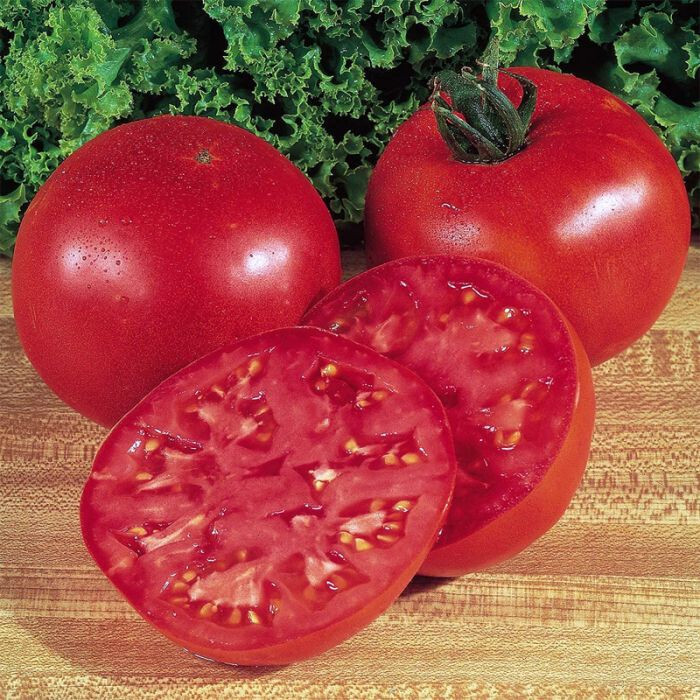 HT 50 Seeds Burpees Big Boy Tomato Juicy Tomatoe Vegetable Edible Food ...