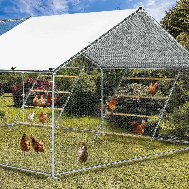 Chicken Coop Roosting Perch – Wooden Design for Backyard Poultry ...