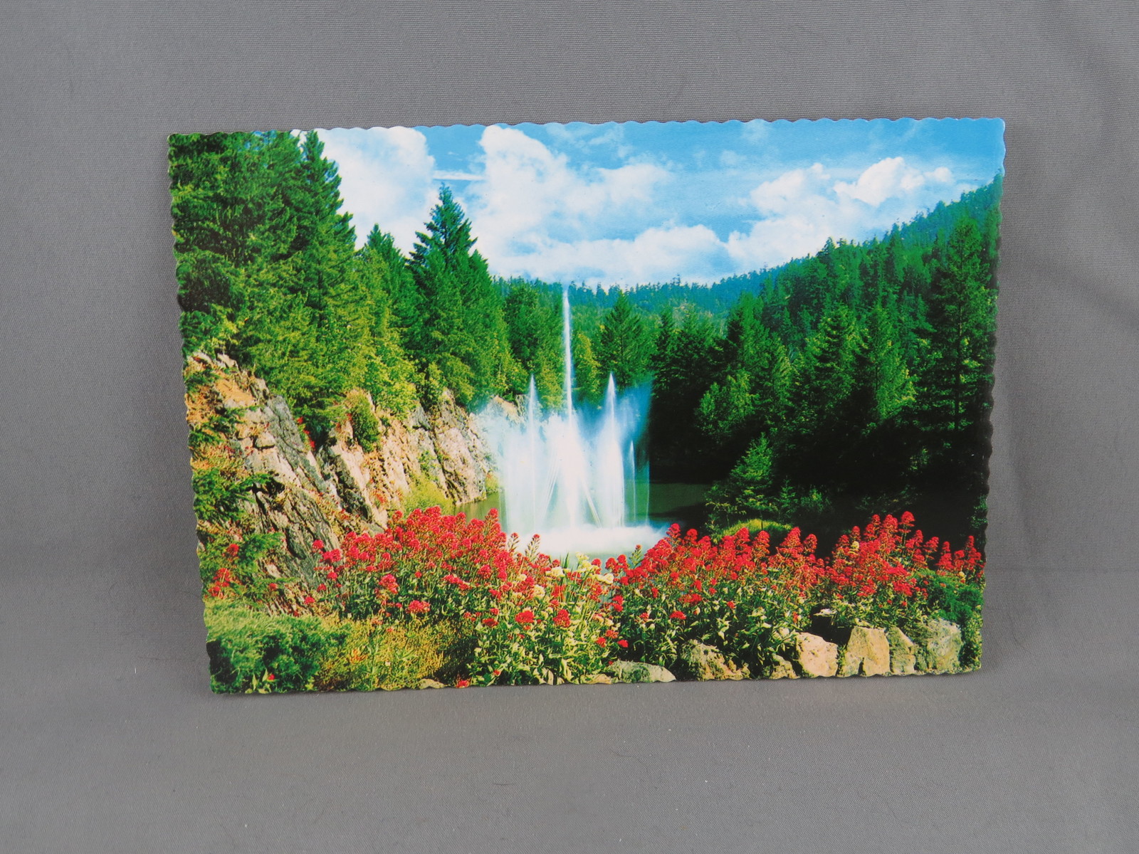 Vintage Postcard - Butchart Gardens Ross Fountain Victoria - Peacock ...