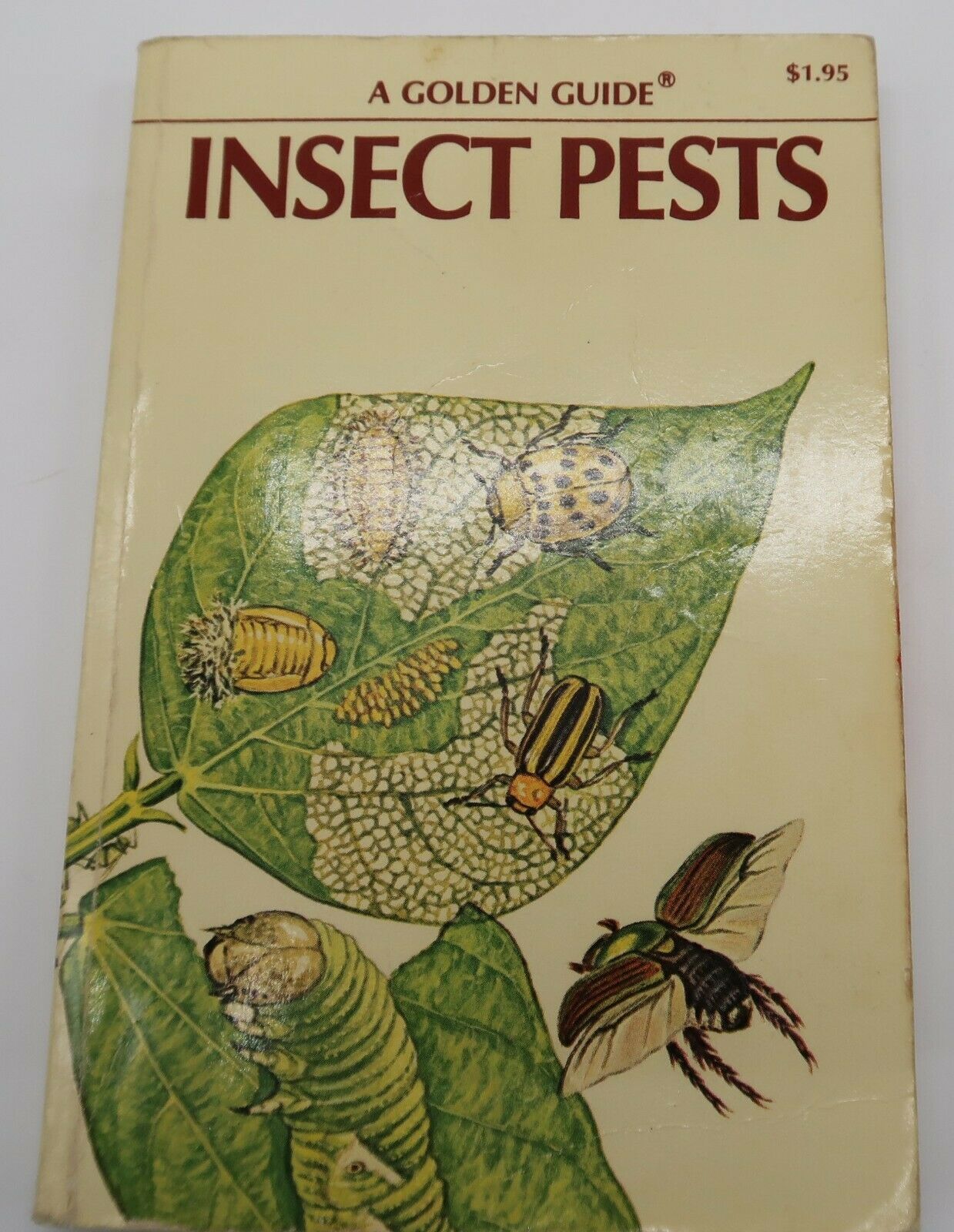 1966 Insect Pests Golden Guide Western Publishing softcover full color ...