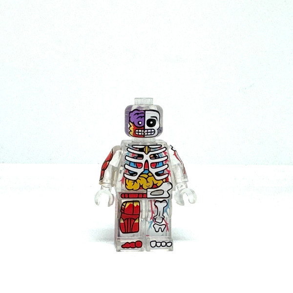 Movie Minifigure The Visible Man Minifigure Dissecting A Human Skeleton ...