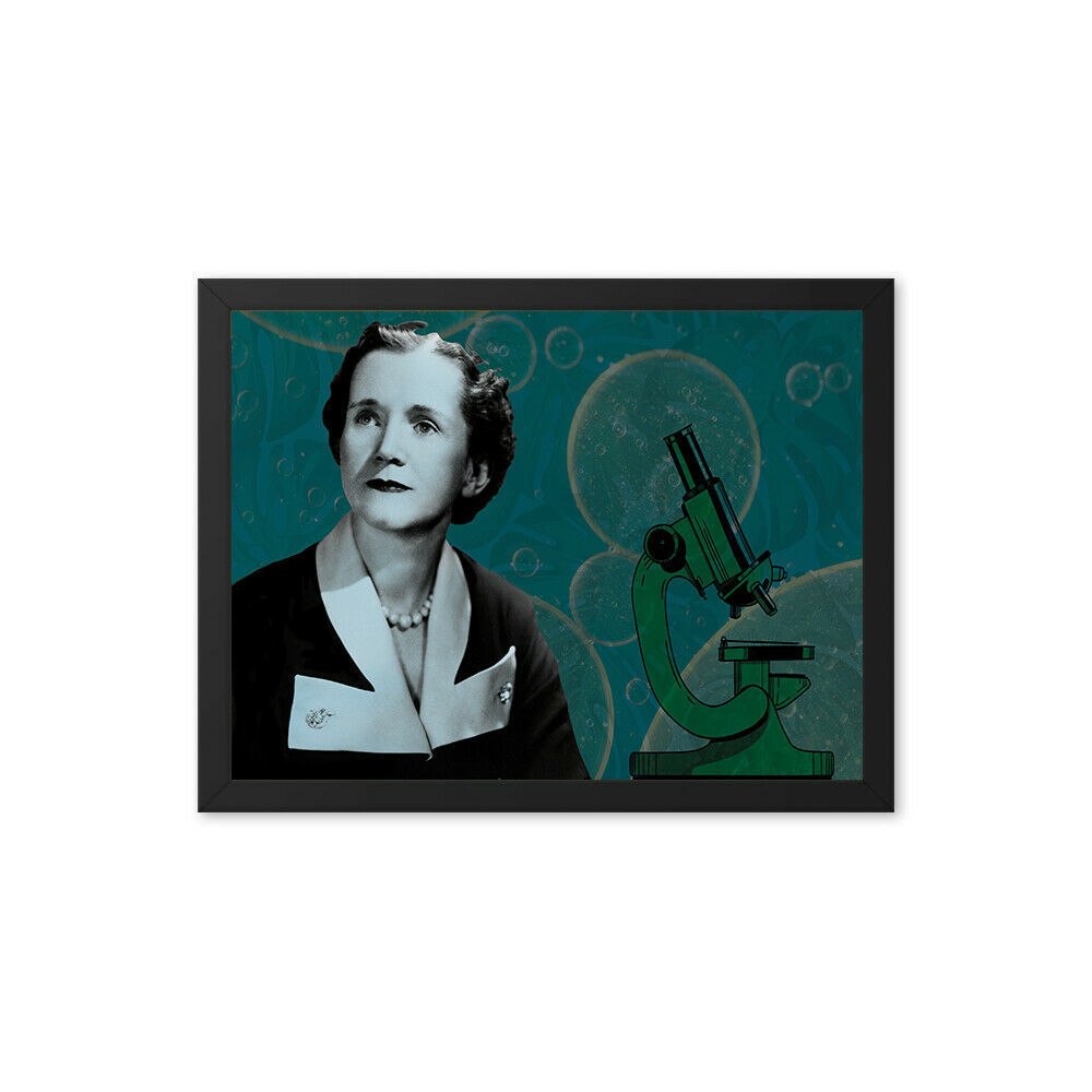 Rachel Carson Scientist Portrait Poster - Art Posters