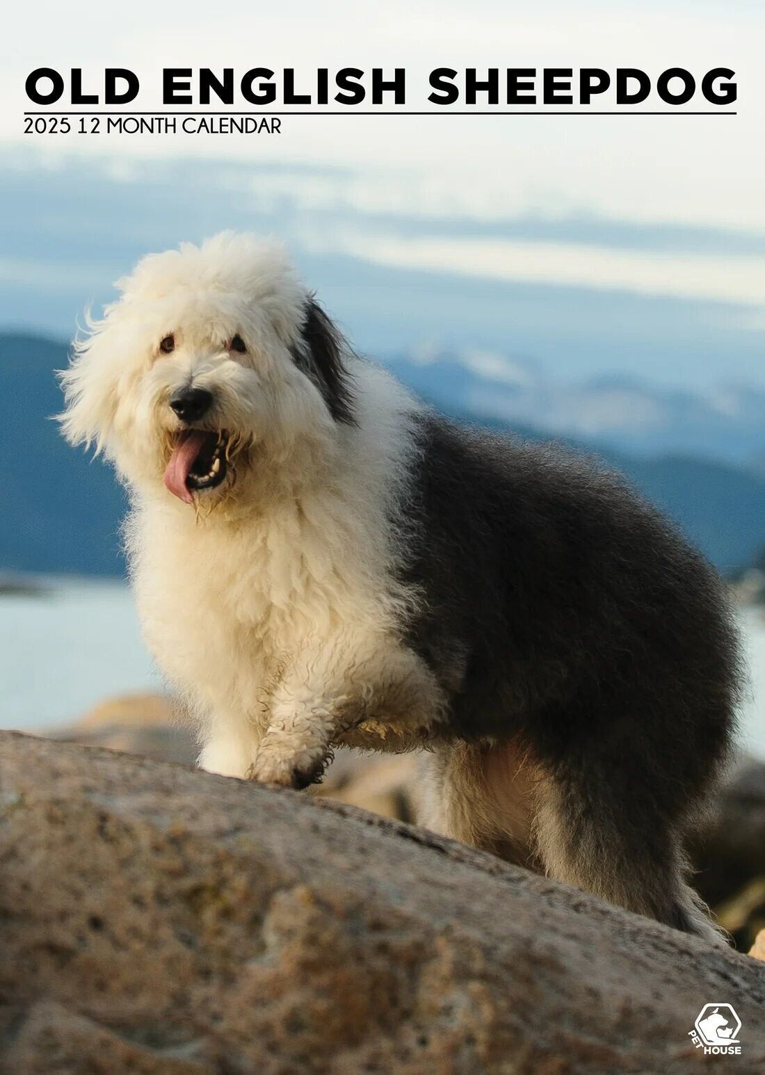 Old English Dog A3 Calendar 2025 - Dog- Month To View - Wirobound ...