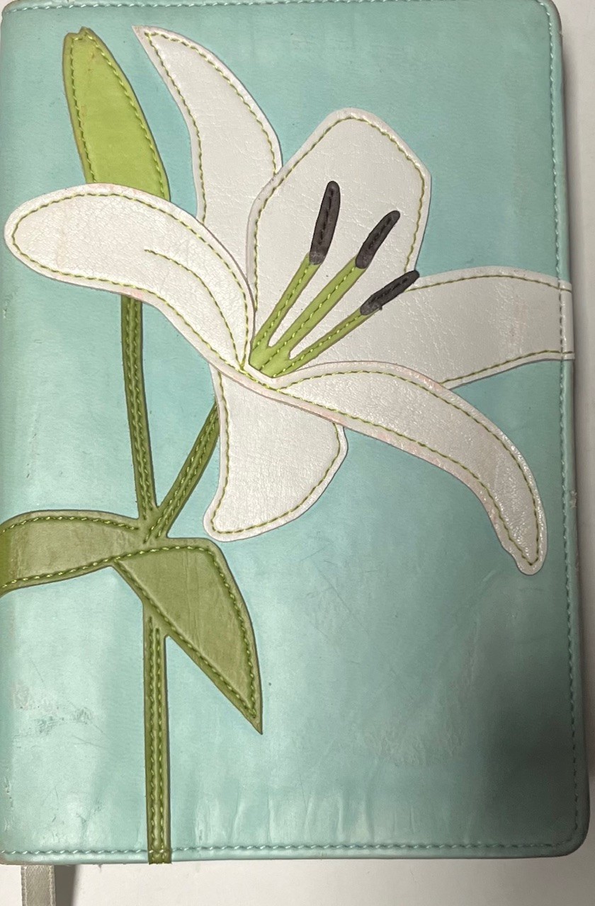 NIV, Bloom Collection Bible, Compact, Leathersoft, White/Blue - Books