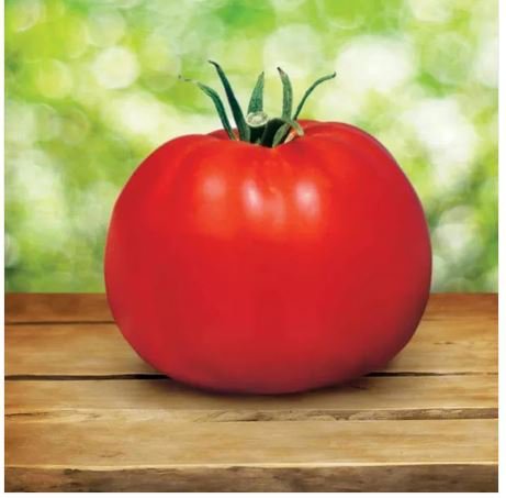 100 Seeds Park's Whopper CR Improved Hybrid Tomato - Seeds & Bulbs