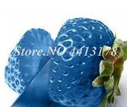 300Pcs Light Blue Strawberry Seeds Giant Juicy Potted Fruit Gardening ...