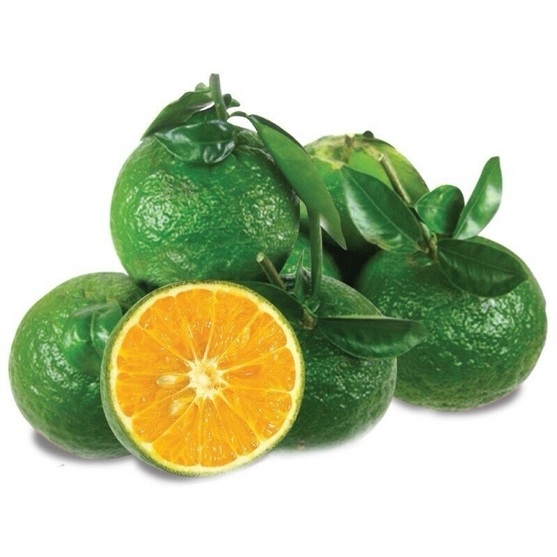 SMX Green Skin Sweet & Fragrant Orange Fruit 10 Seeds Indoor Gardening ...
