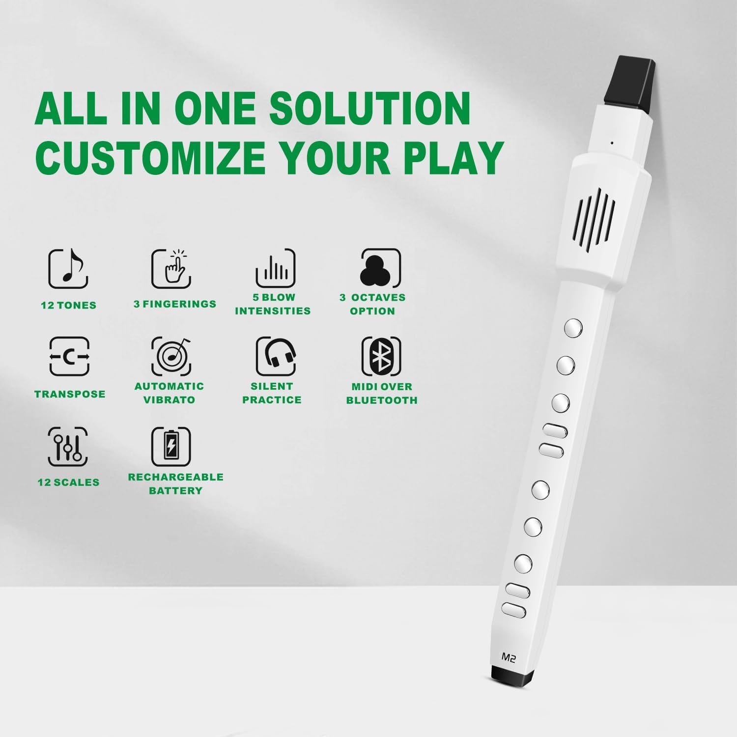 Ex Digital Wind Instrument With 12 Tones, 3 Fingerings, Scales ...