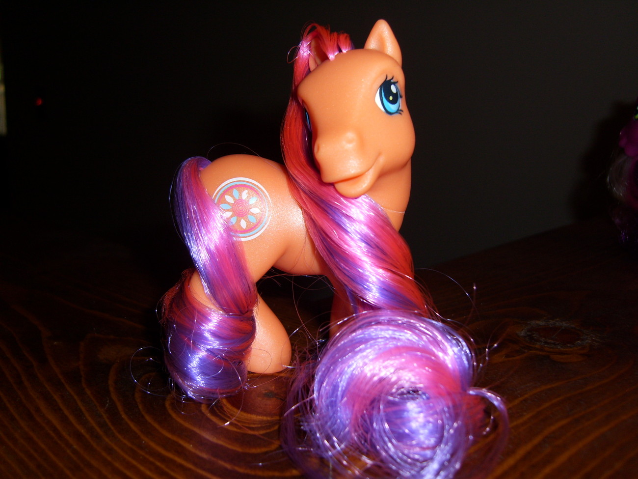 My Little Pony G3 SLH Sunny Salsa - Toys & Hobbies