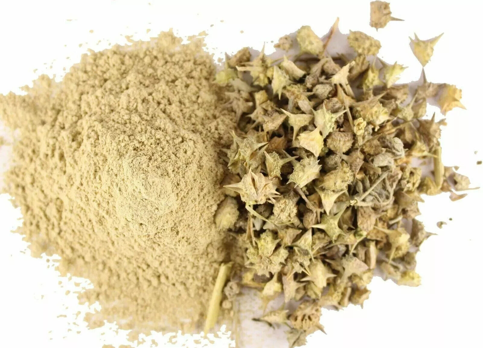 100 GM Gokhru Tribulus terrestris Small Caltrops Land Caltrops Hasak ...