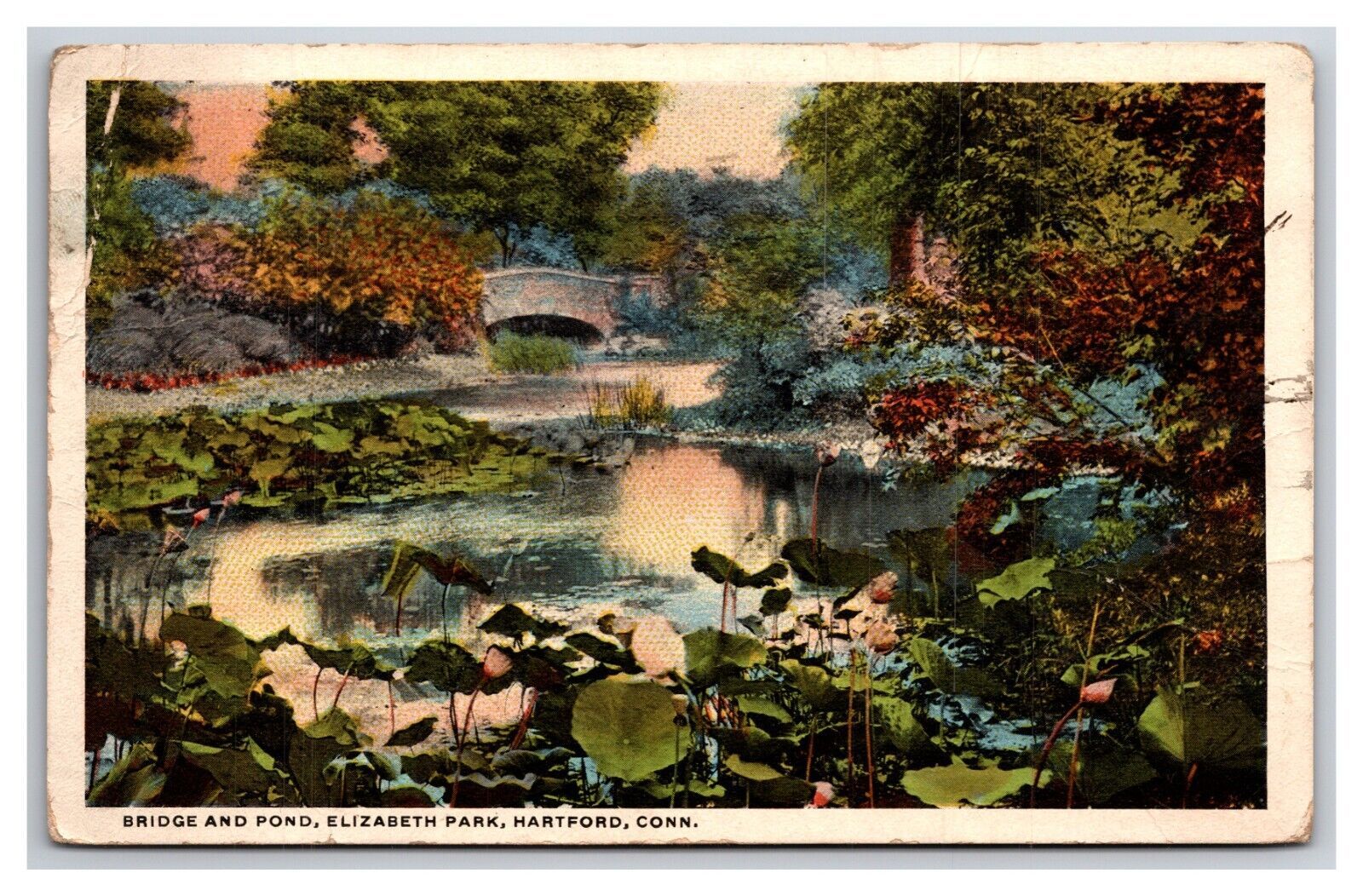 Elizabeth Park Bridge Hartford Connecticut CT WB Postcard XC6 ...