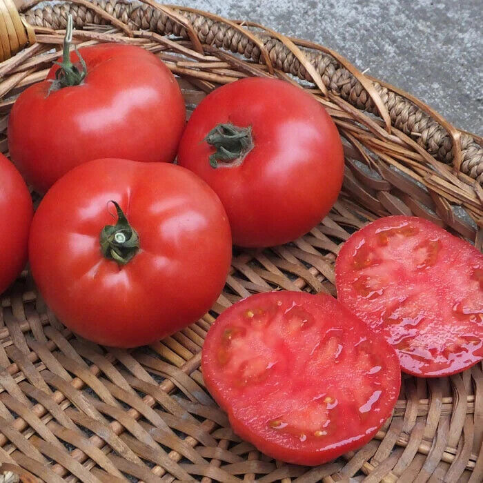 HT 50 Seeds Bhn 589 Tomato Juicy Tomatoe Vegetable Edible Food Garden ...