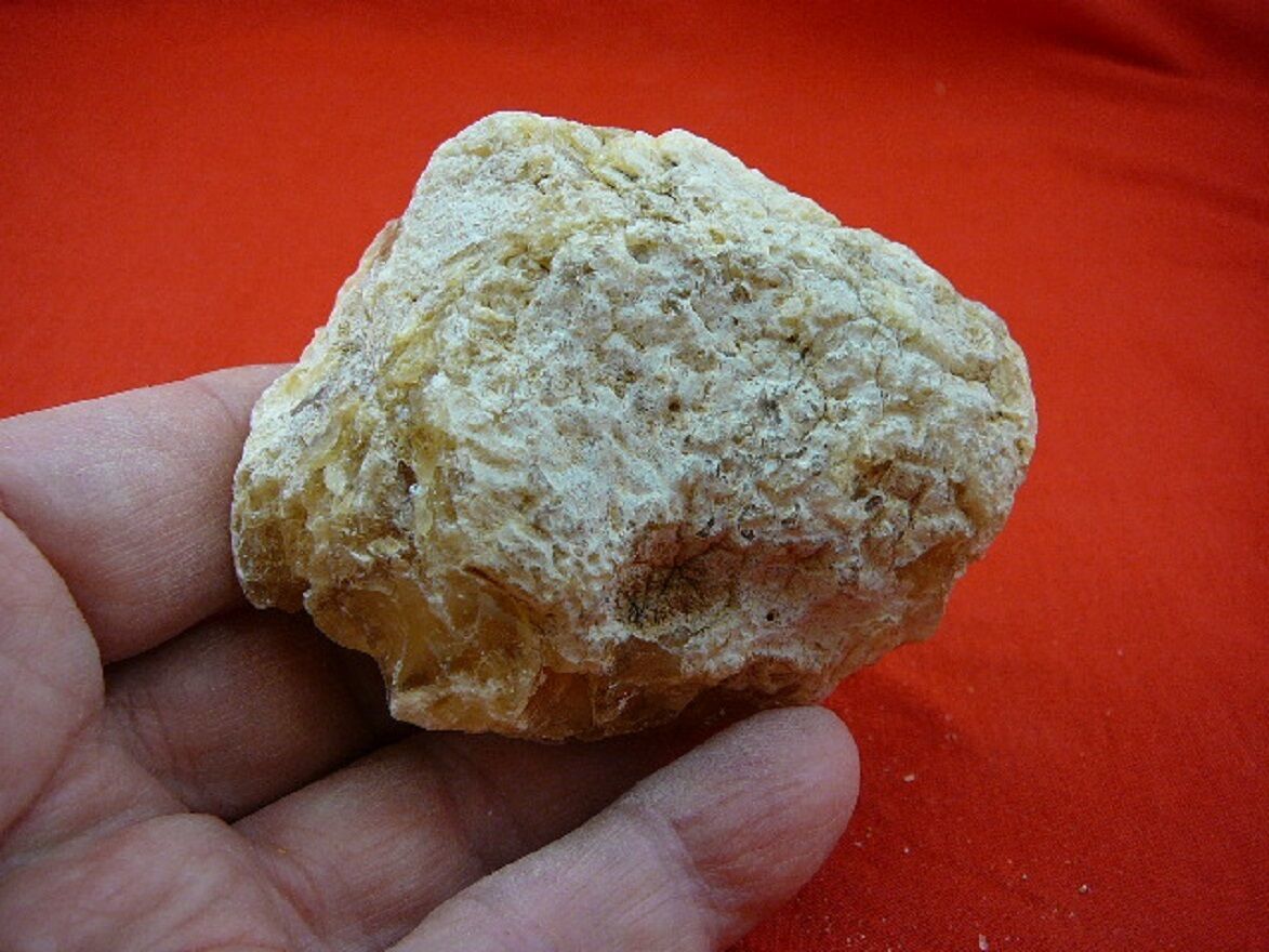 (k-2555) 85 g Rare Kauri tree Gum copal young Amber New Zealand Tane ...