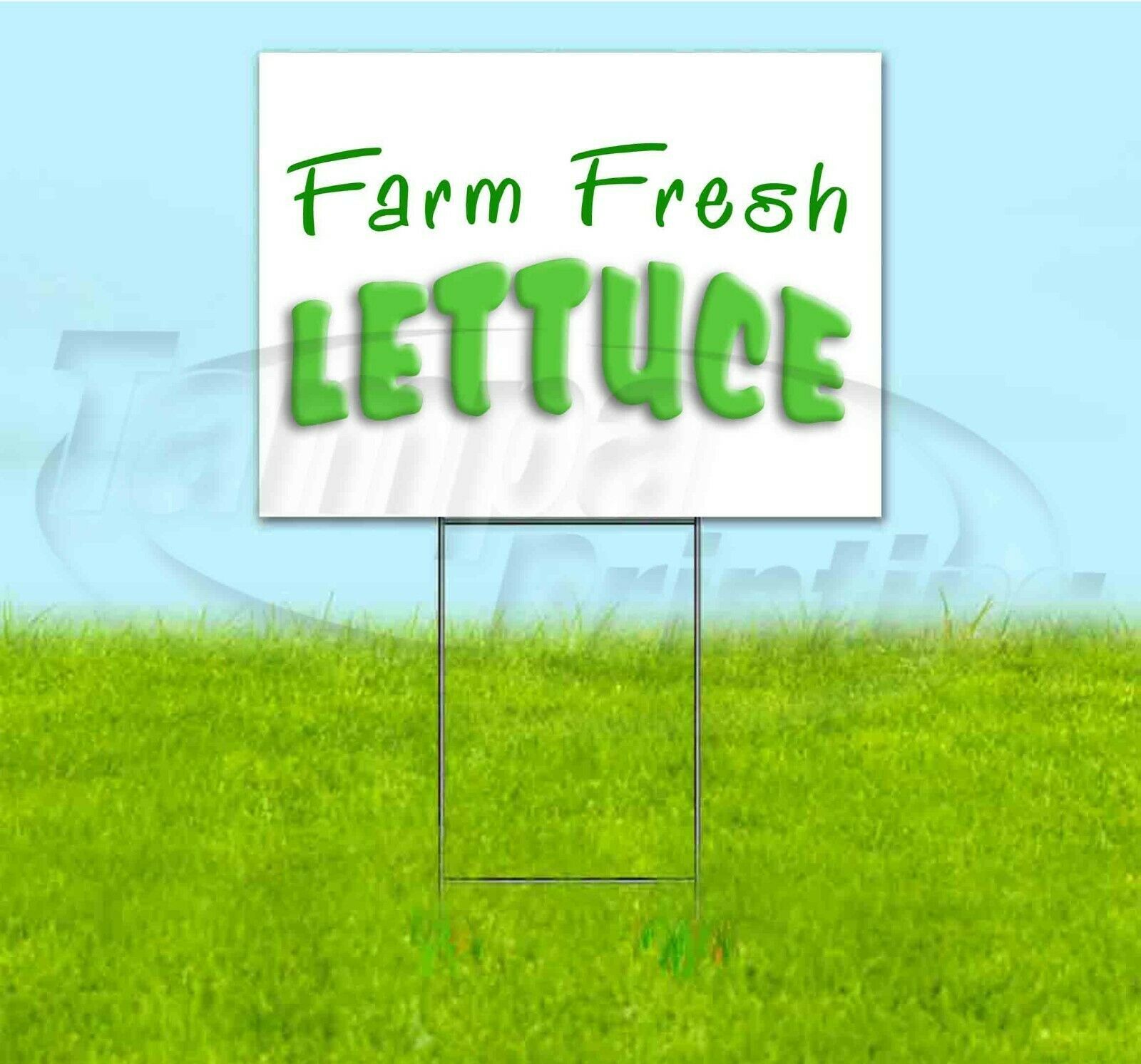 FARM FRESH LETTUCE 18x24 Yard Sign Corrugated Plastic Bandit Lawn USA ...