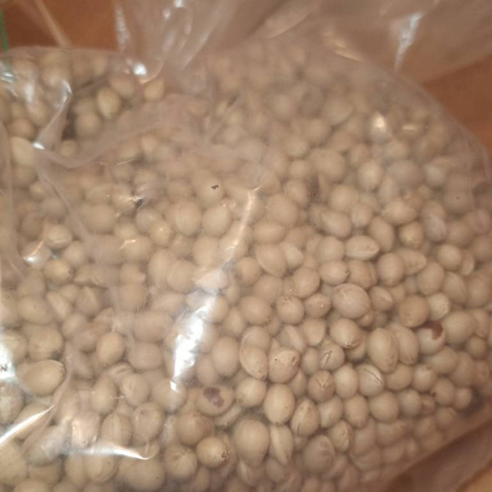 Black Chokecherry Tree Seeds Prunus Virginiana Fresh Seeds - Seeds & Bulbs