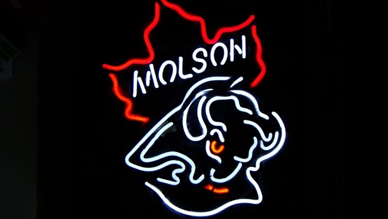 Molson Beer Bar Neon Light Sign 16" x 11" - Other Collectible Lighting