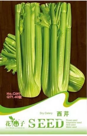 40 Tall Utah Celery Apium Graveolens Vegetable Seeds - Home & Garden