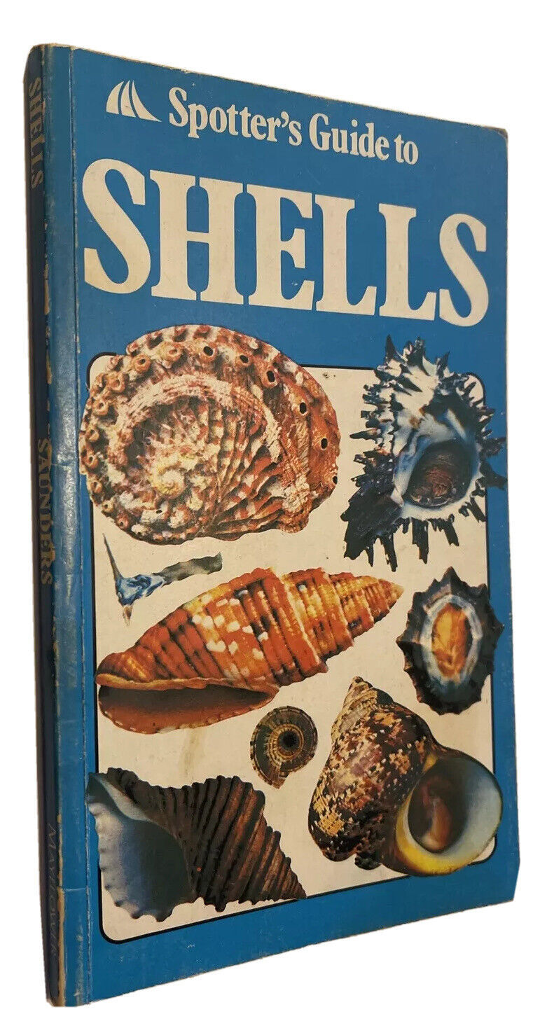 Spotter's Guide to Shells: An Introduction to Seashells of the World ...