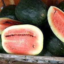 40 PCS Seeds Yellow Black Skin Watermelon with red meat - Seeds & Bulbs
