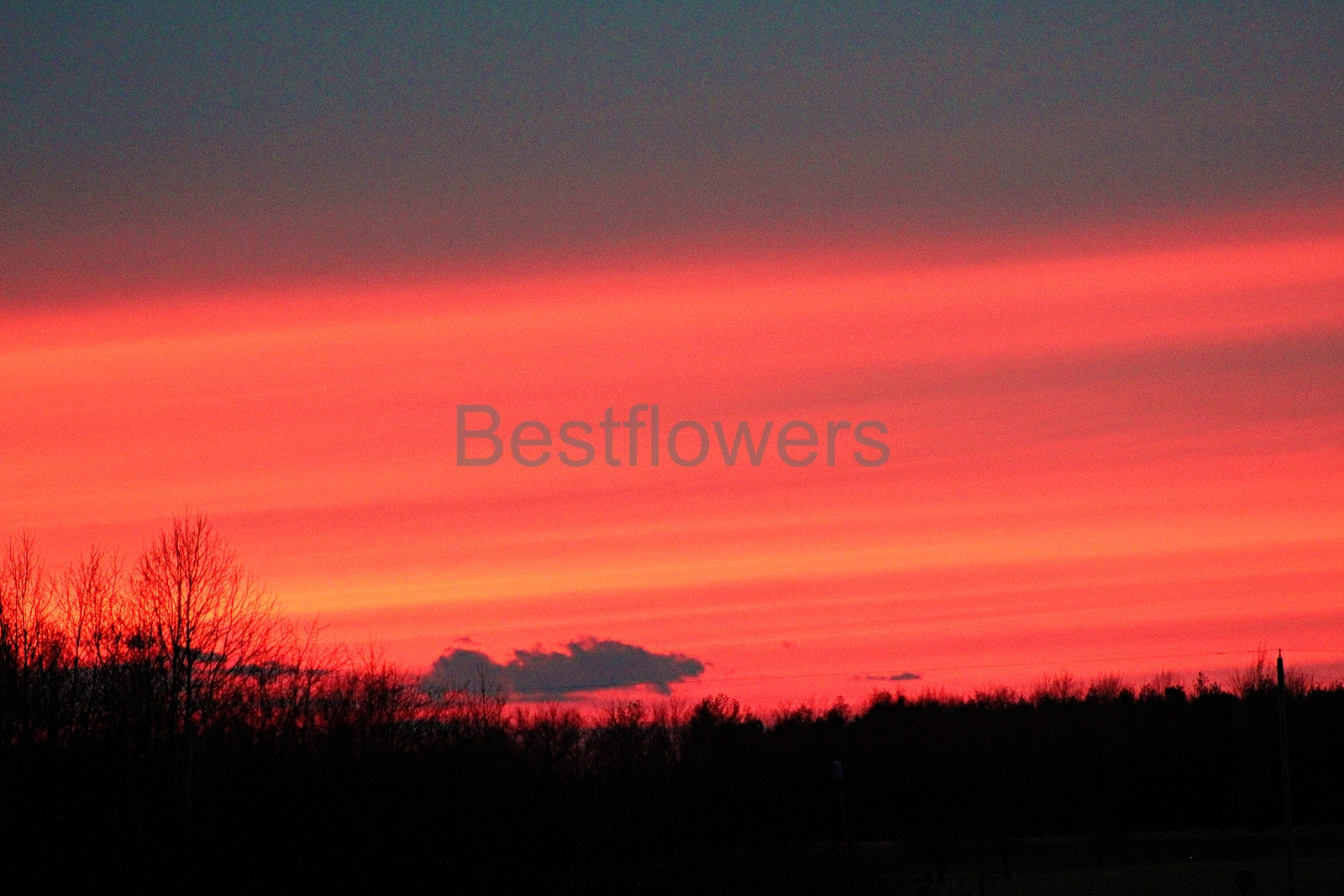 A Beautiful Pink Sunset in Indiana - 8" x 10" Mounted Photograph - Art ...