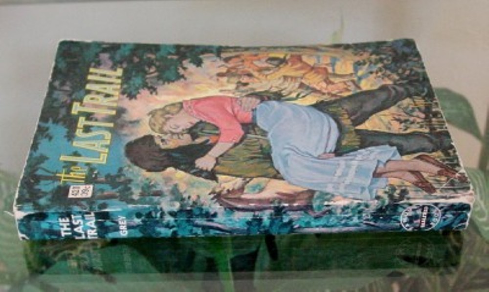1940 Zane Grey-Illustrated Lloyd Weidner THE LAST TRAIL Saalfield ...