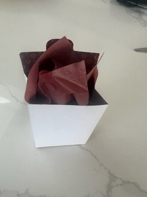 GENUINE BRAND NEW PANDORA POP-UP BOX PACKAGING WITH TISSUE PANDORA GIFT ...