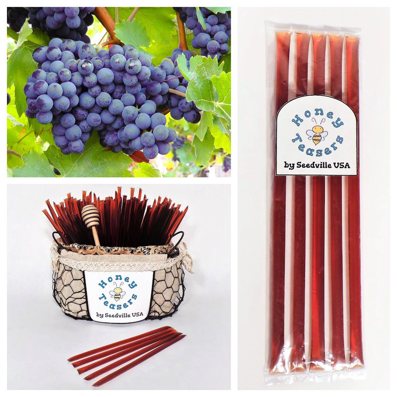 5 Pack Grape Honey Teasers Natural Honey Snack Sticks Honeystix ...