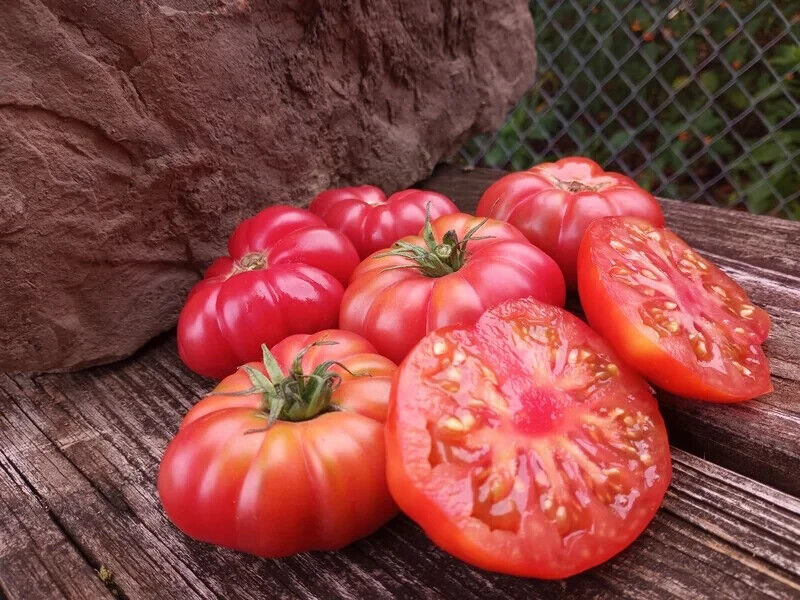 HS 50 Seeds Bali Tomato Juicy Tomatoe Vegetable Garden Edible Food ...