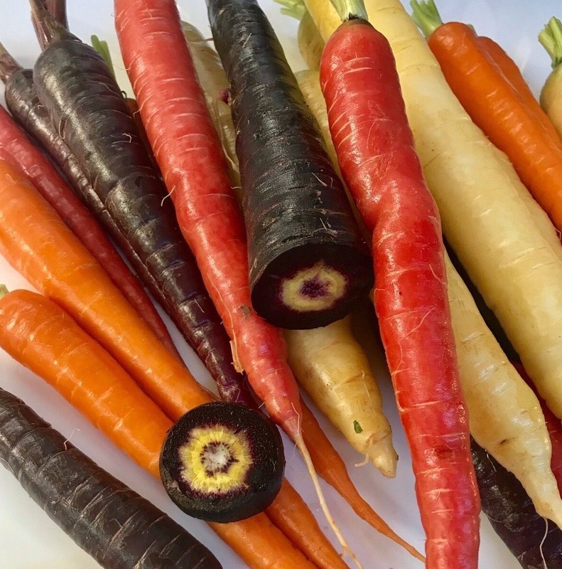 PS Carrot Seeds Packet 1 Gram Rainbow Variety 400-600 Seeds Organic ...