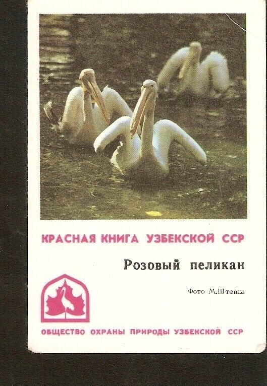 Uzbekistan Uzbek USSR Soviet 1982 Fauna Birds of Red Book Pink PELICAN ...