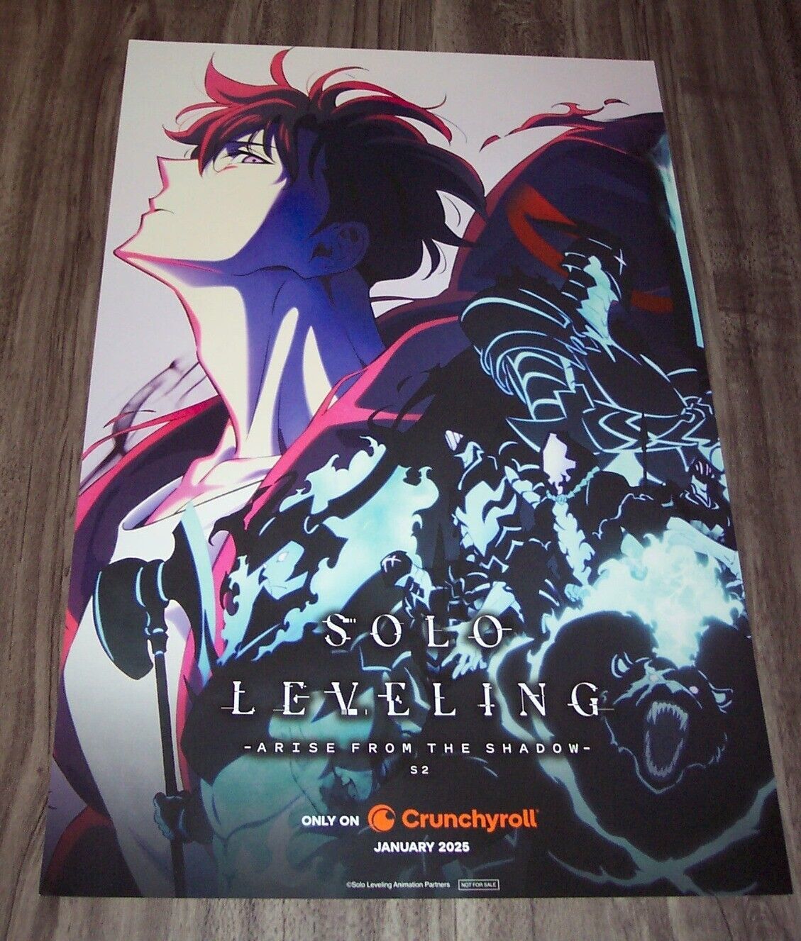 SOLO LEVELING Crunchyroll NYCC Comic Con EXCLUSIVE PROMO POSTER ANIME ...