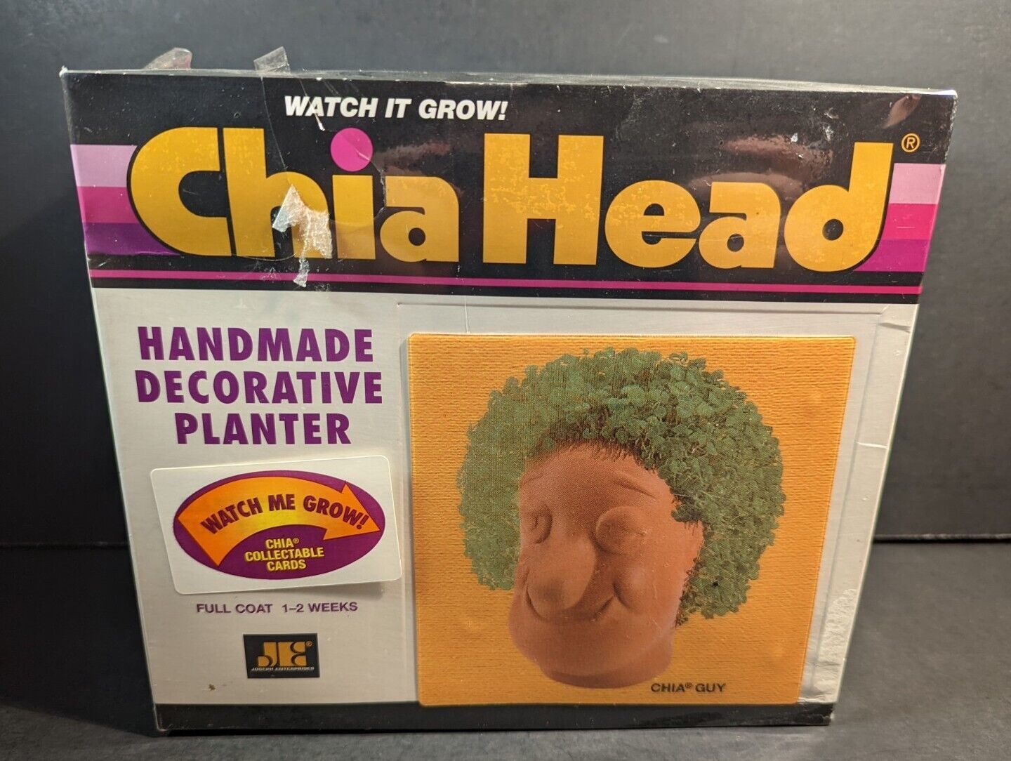 Chia Head Guy Decorative Planter Vintage Includes Chia Seeds Terra ...