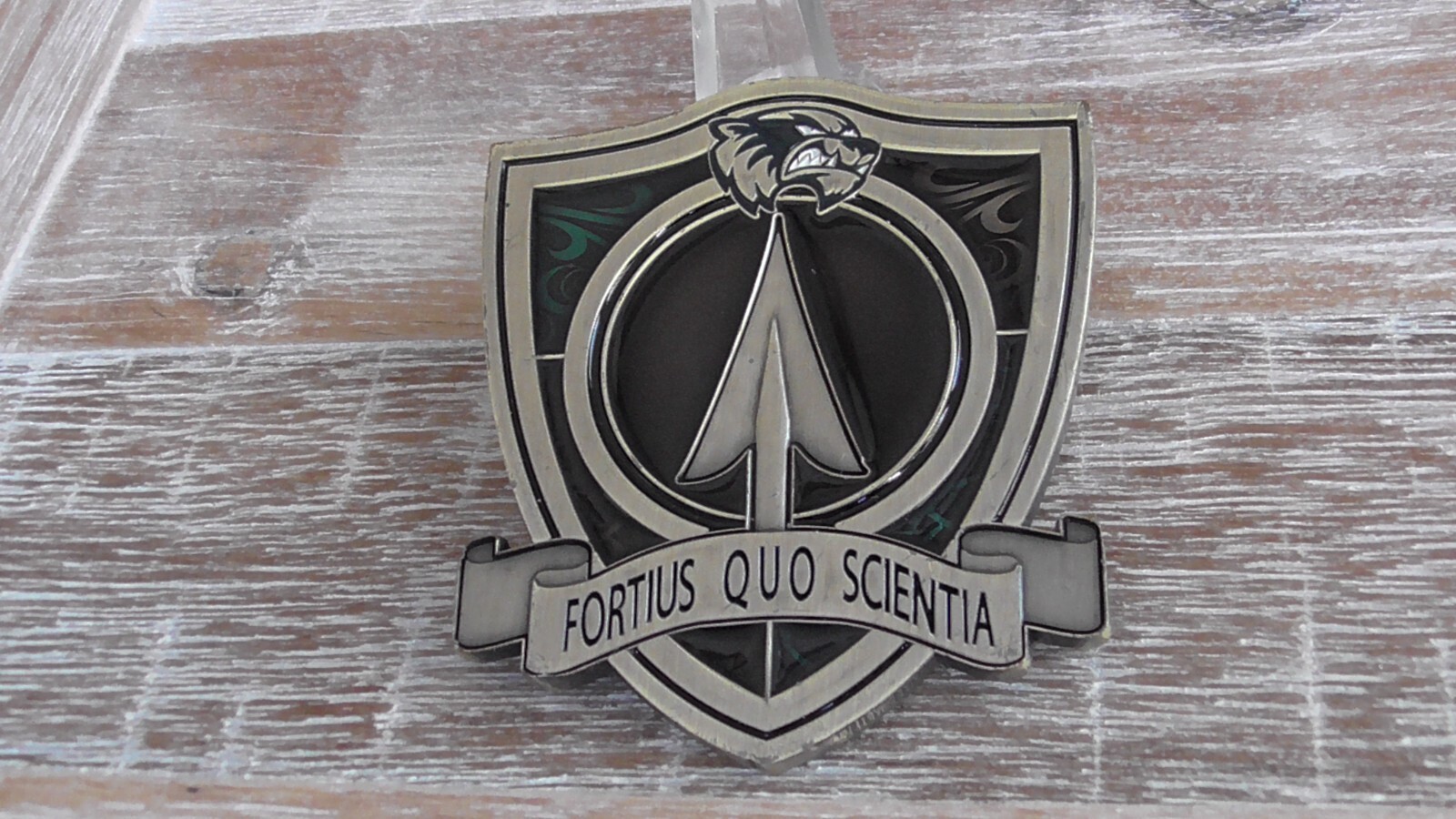 Unknown US Army ROTC Fortius Quo Scientia RAIDERS Challenge Coin #970X ...