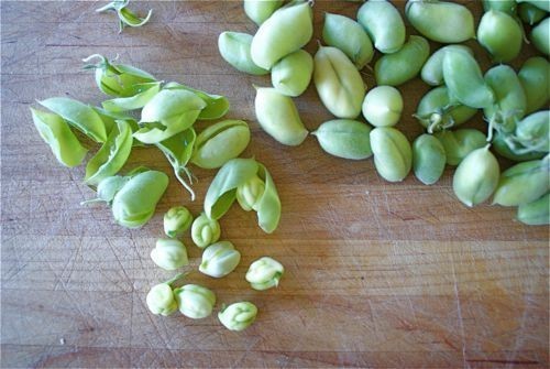 SRN Green Chickpea Garbanzo Chick Pea Seeds 40 Bush Bean Garden - Seeds ...