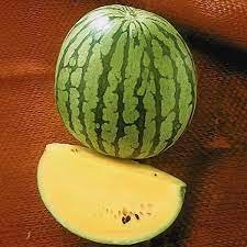 Yellow / Black Skin Watermelon with red meat 20 Pcs - Home & Garden