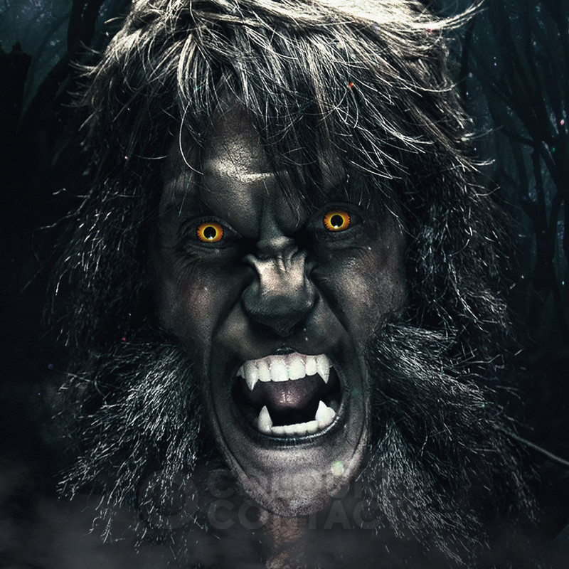 WEREWOLF TRANSFORMATION SPELL! EXTREME INSTANT BINDING! - Other