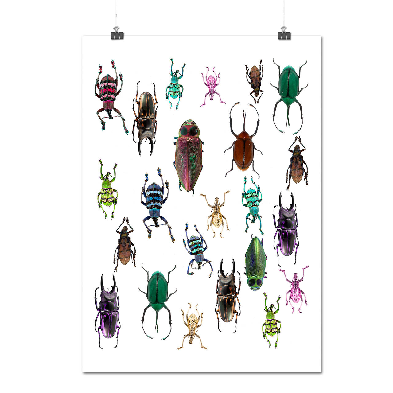 Bug Beast Nature Animal Insect Life Matte/Glossy Poster A0 A1 A2 A3 A4 ...