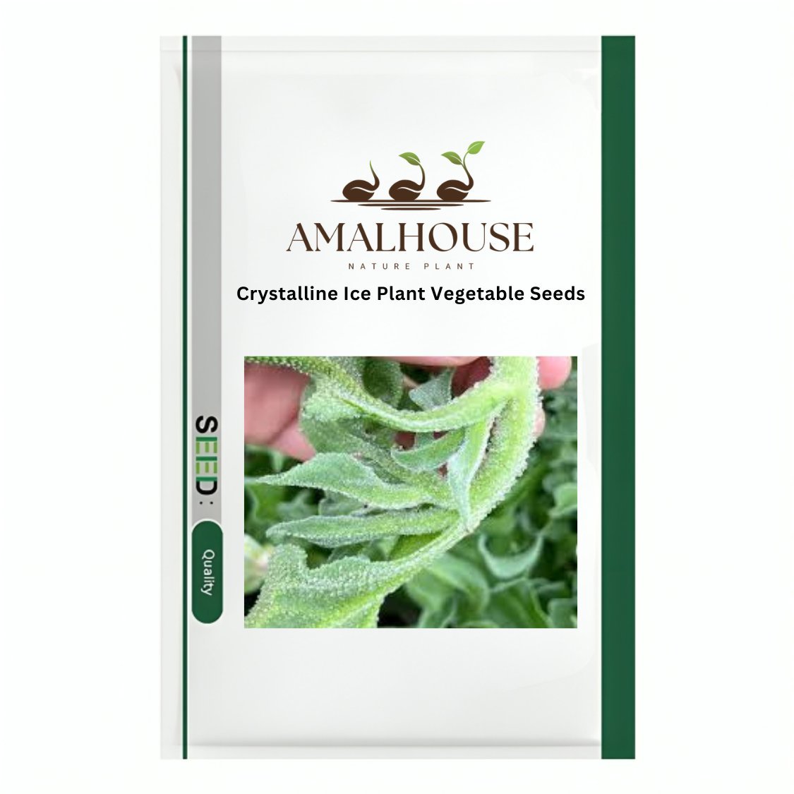300 PCS Seeds Crystalline Ice Plant Vegetable - - Seeds & Bulbs
