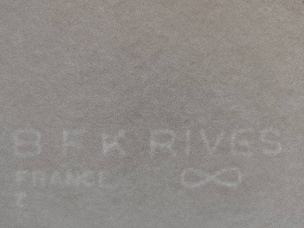 Salvador Dali Lithograph: Dream Caused by the Flight of a Bee Around a ...