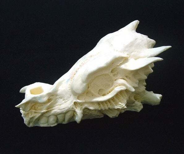 ROGUE HUNTER Predator 1/6 Narin Sculpts DIY Resin Model Kit Figure ...